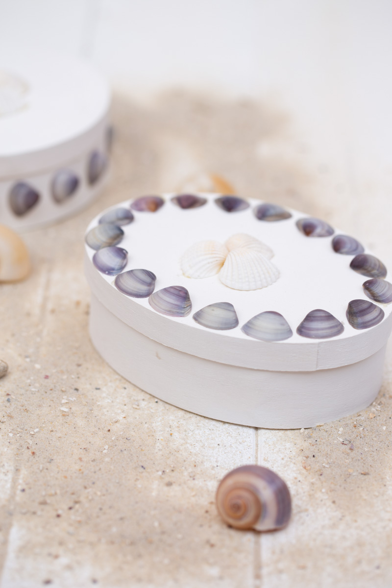 Basteln mit Muscheln - Maritime DIY Boxen mit Muscheln | DIY Blog | Do ...